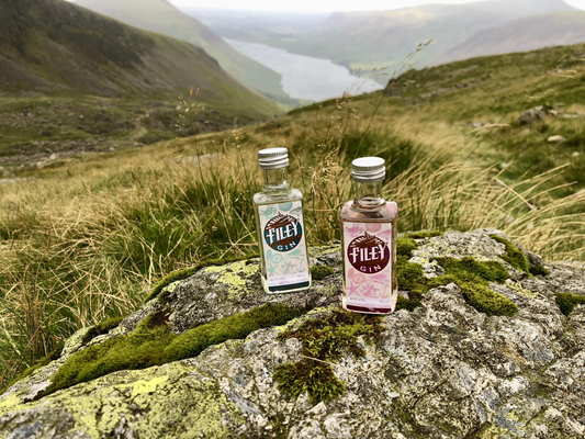 Filey Gin from Filey Distillery, Artisan Distillery in North Yorkshire